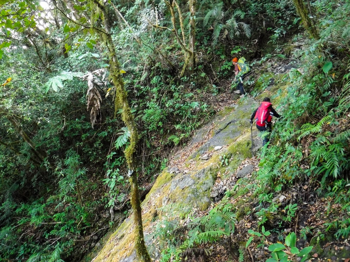 Mt. Madjaas: Traversing Ravines, Ridges, and Thick Forests (Part 2 ...